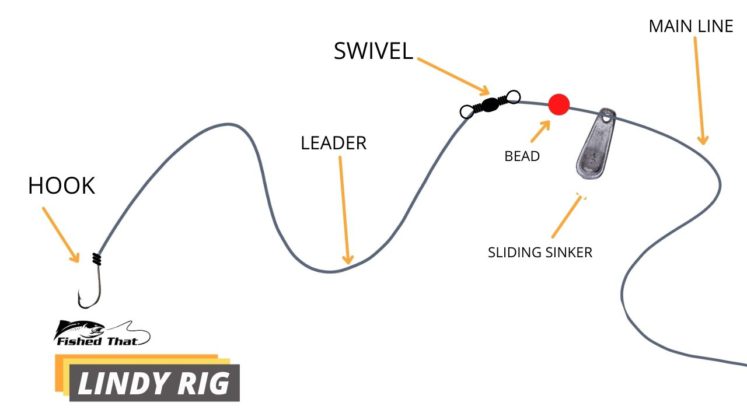 Trolling for Walleye: A Complete Beginner’s Guide - Fished That